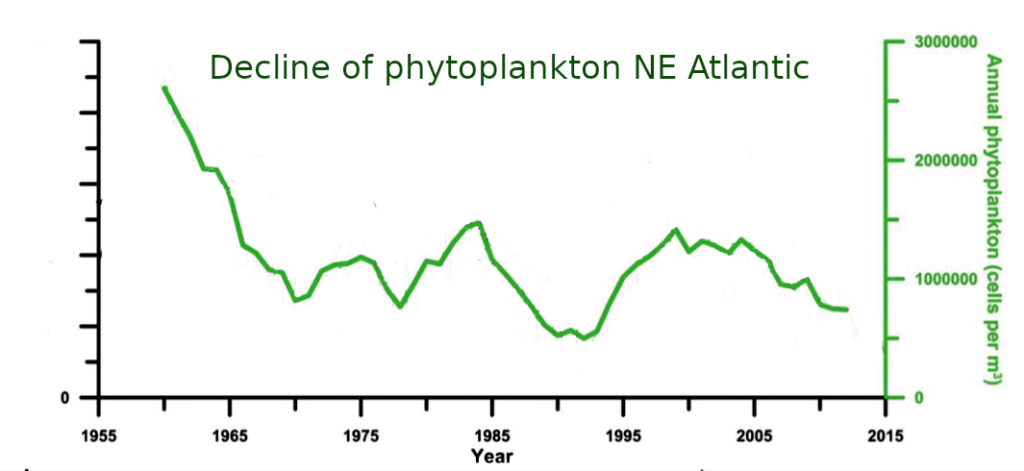 Plankton Threatened By Ocean Acid Trophic Cascade - Russ George